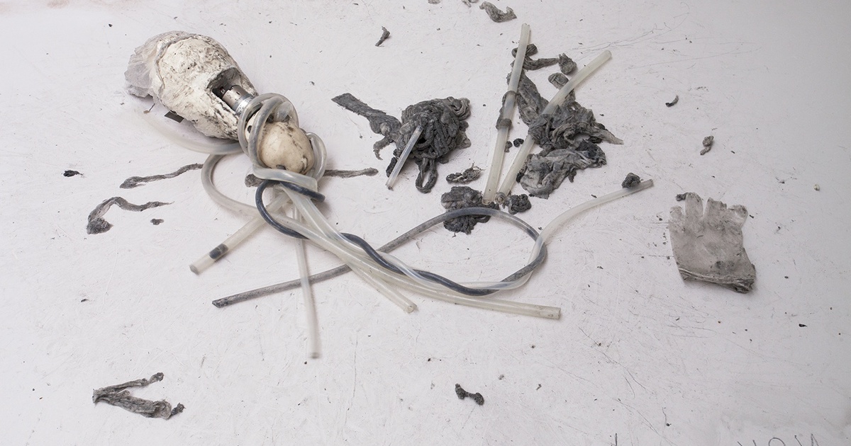 Vorarephilia: Mire Lee | Tina Kim Gallery